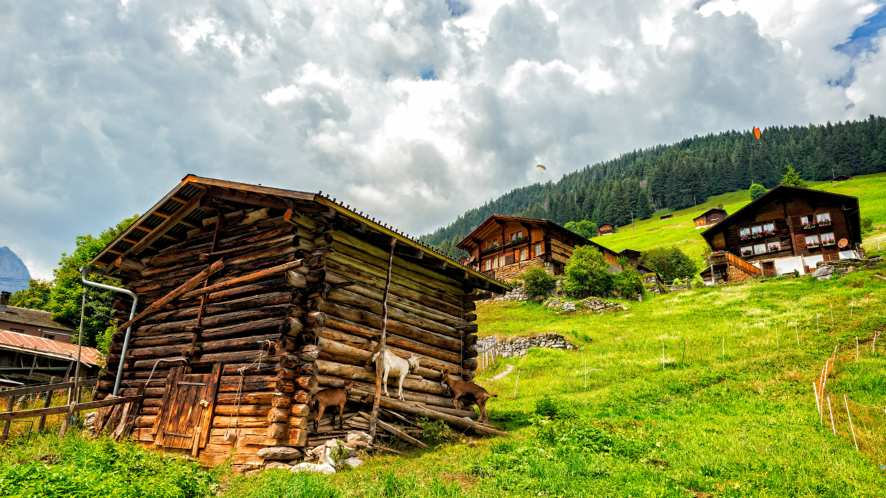 Blockhausbau Schweiz – Geschichte und Tradition - Kanada Blockhaus